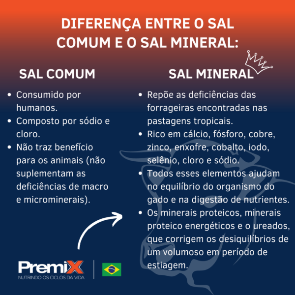 Saiba a diferença entre sal mineral e sal comum para o gado
