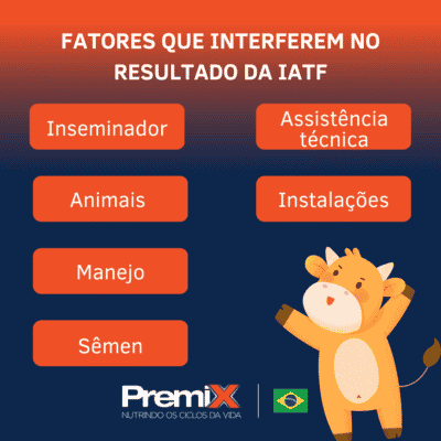 IATF: O que é e quais são as vantagens? - Blog Premix